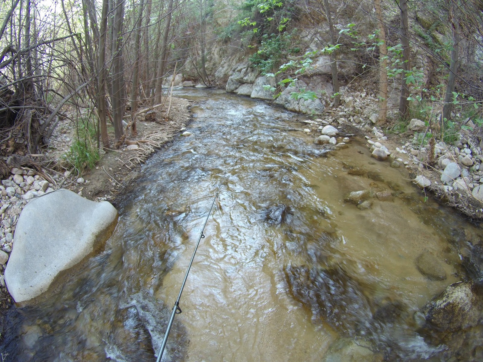A California Trout Stream Comes Back to Life - Hunting the River King