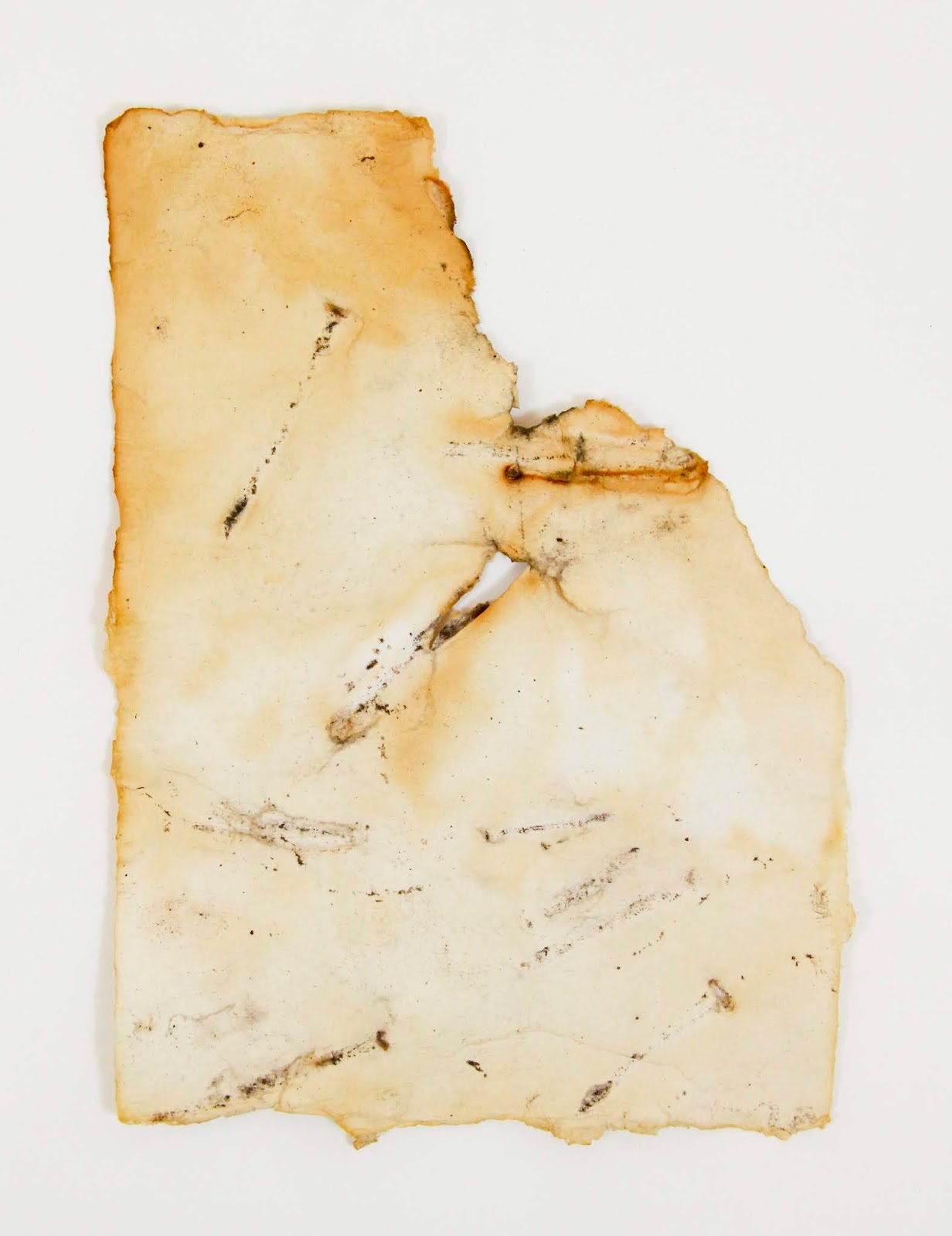 Rust Dyeing on Paper