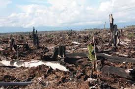 Penyebab Kerusakan Ekosistem dan Cara Menanggulanginya | Kependudukan ...