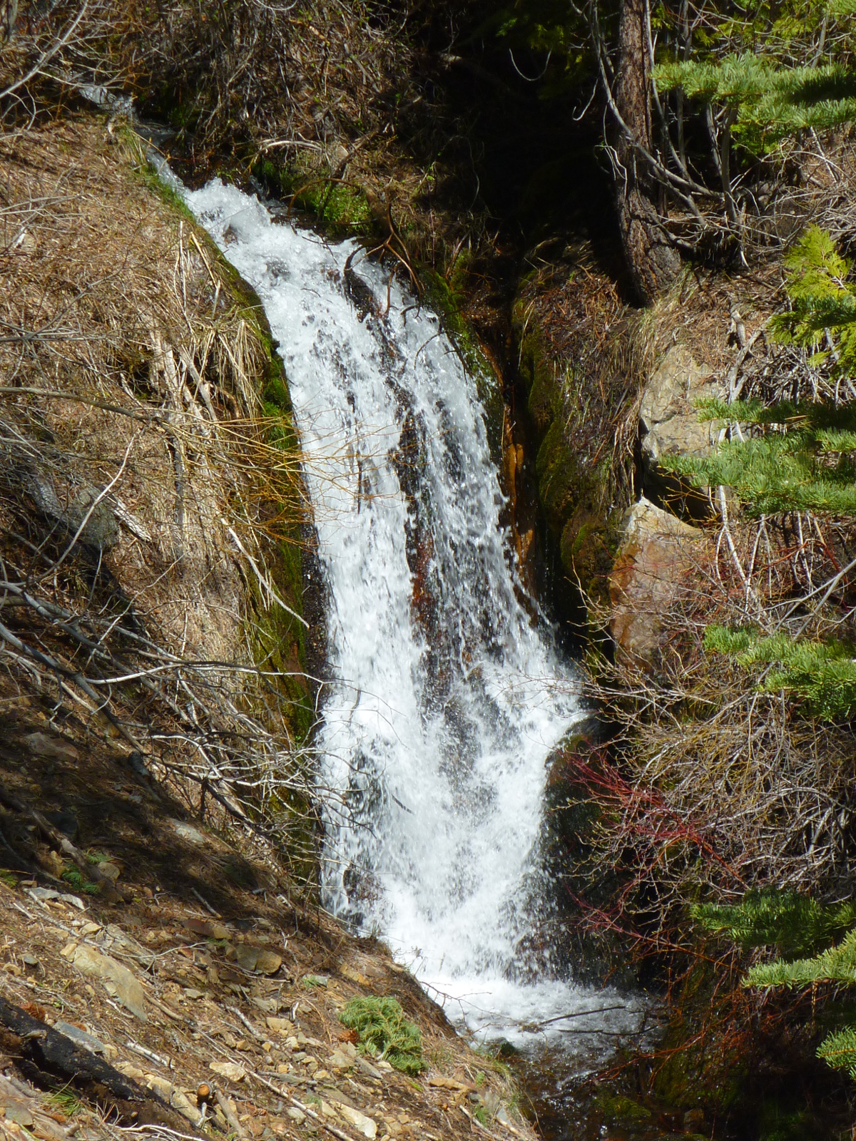 Trailing Ahead: Kings Canyon Falls: Upper Waterfall Loop