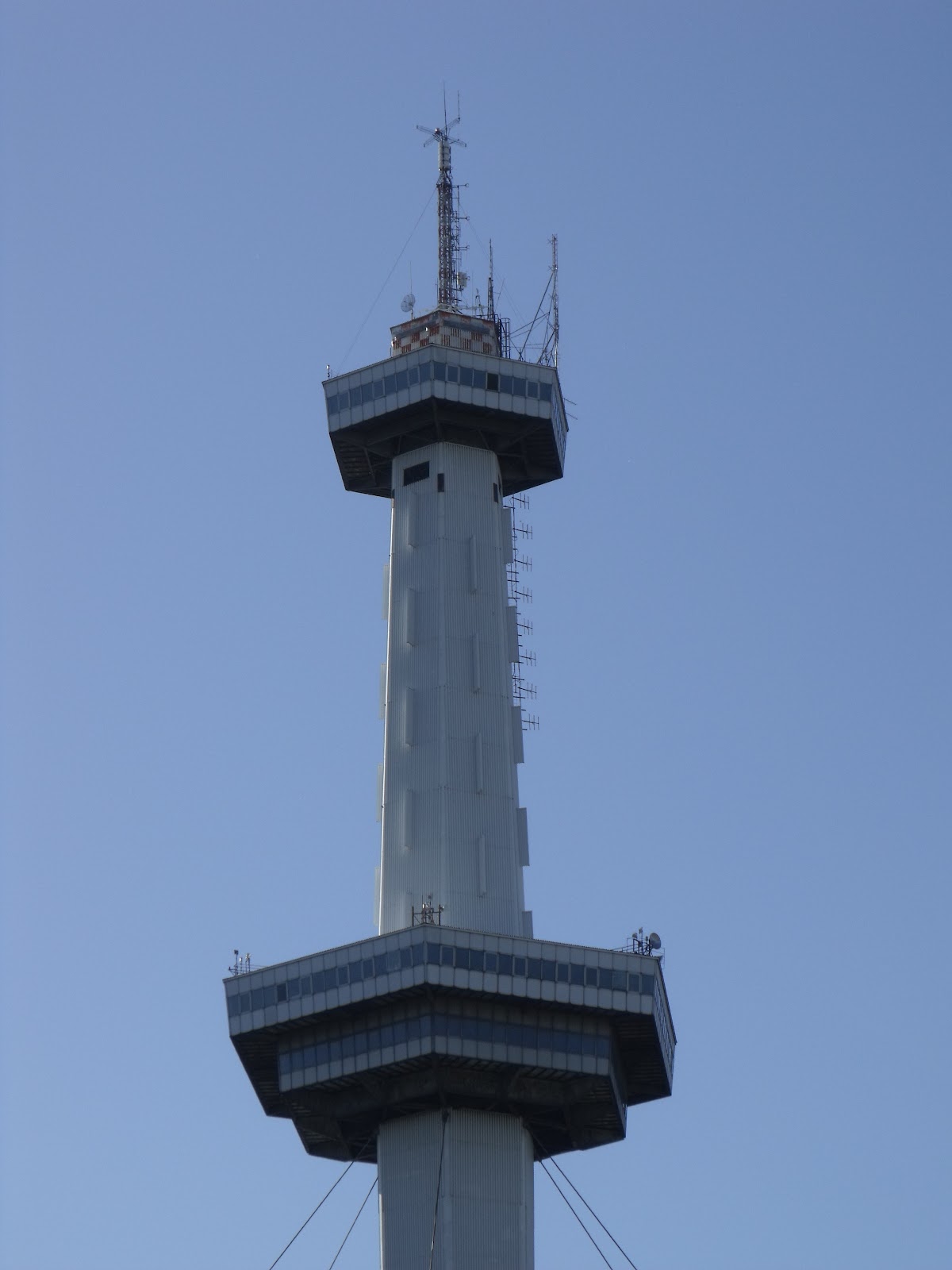 NATURALEZA Y CULTURA: Naturaleza en Lugano