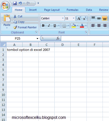 Cara Menemukan Tombol Option di Excel 2007