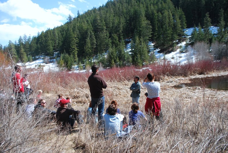 North Cascades Basecamp: Beaver Restoration