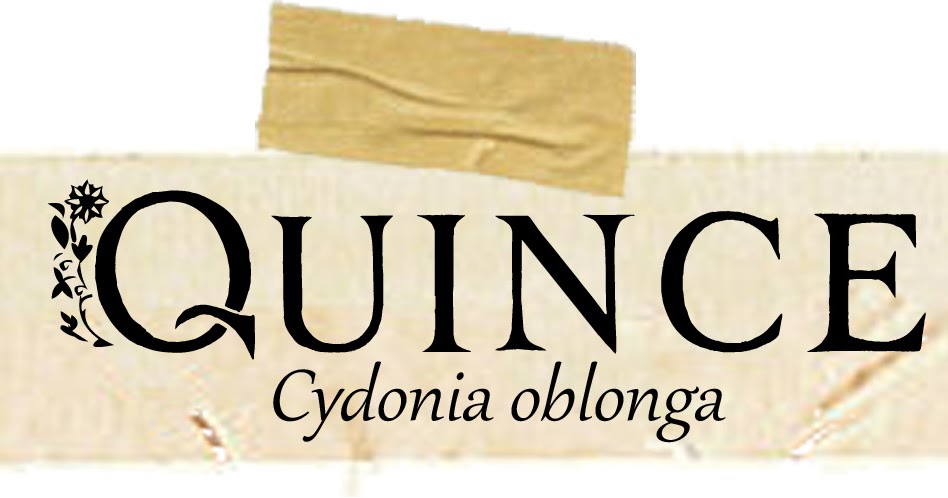 Flying the Hedge: Magical and Medicinal Uses of Quince