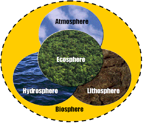 Environmental Sciences: Biogeochemical cycles - Oxygen cycle