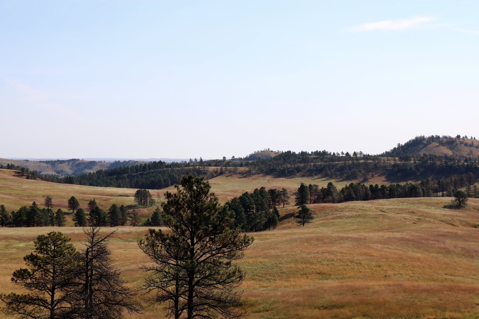 Amy's Creative Pursuits: Our Fall Vacation to South Dakota, Day 6 ...