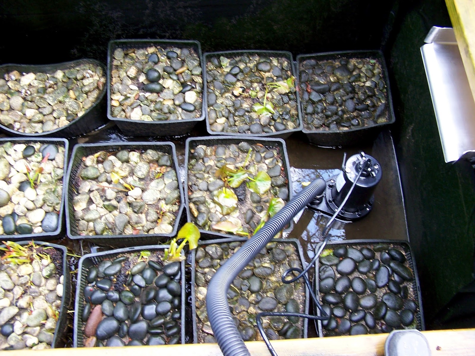 Anoxic Filtration System: Black plastic canvas that covers the ...