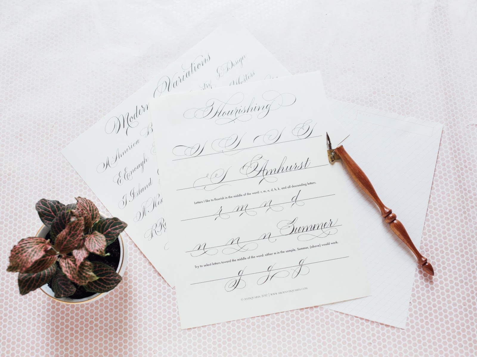 Antiquaria: The Best Online Calligraphy Class, like ever.