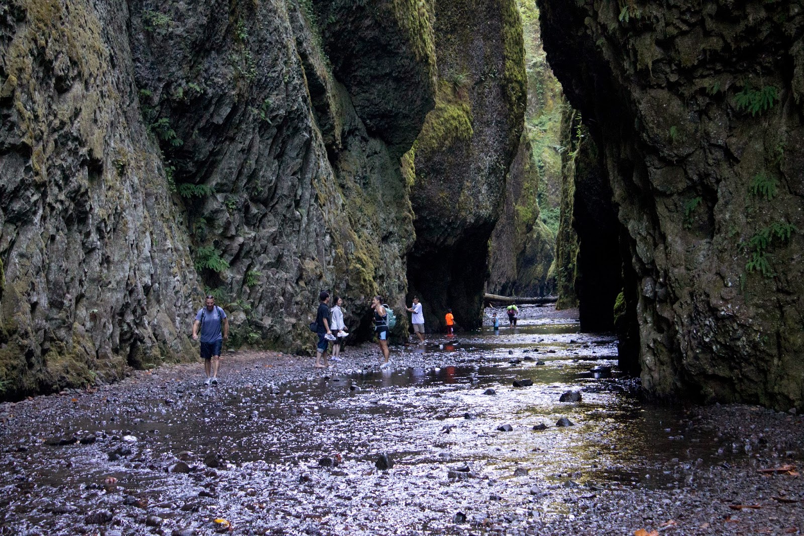 Dave Goes Outside: Wauna Viewpoint, Oneonta Gorge, and Bridal Veil falls