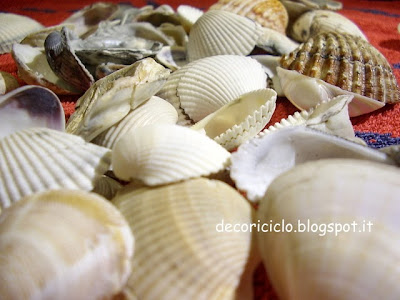 decoriciclo: Come si fa a forare le conchiglie, senza romperle?