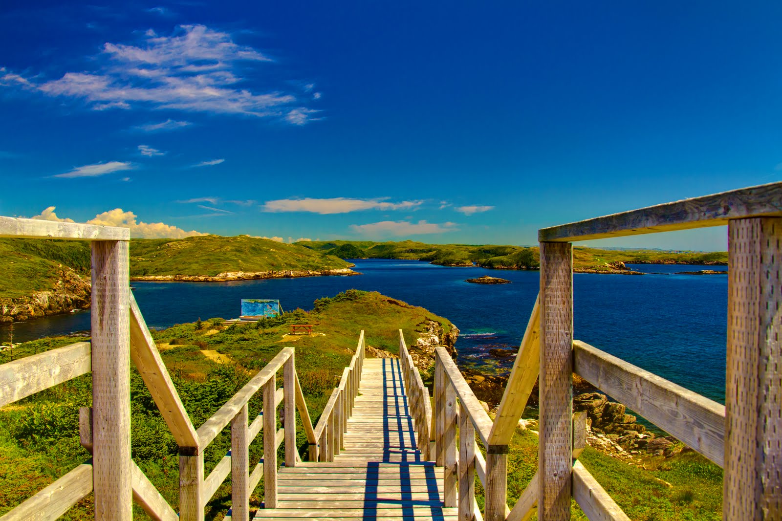 Paula Lafontaine Photography: My FirstTime in Newfoundland!! Beautiful ...