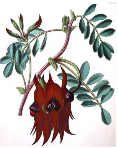 The Club of Compulsive Readers: August 2011