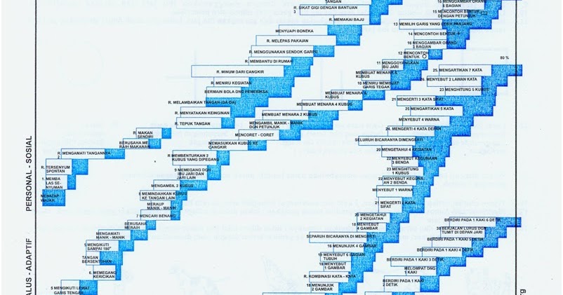 SUTRISARI SABRINA NAINGGOLAN: DENVER DEFELOPMENT SCREENING TEST (DDST)