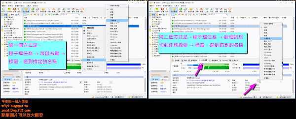 Knows: BitComet 比特彗星 ～ 使用標籤將種子檔任務進行分類，方便任務列表檢視