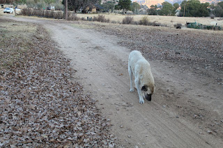 The Agri Handbook Blog: Rustler's Valley: view from a neighbour