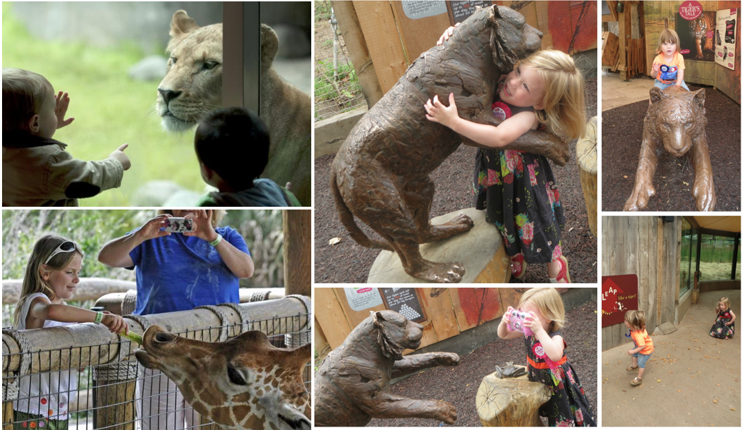 Is the extinction of the modern zoo inevitable? - Science in the City