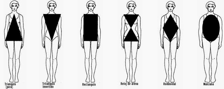 Vicentoro: Morfología ¿conoces cual es tú tipo de cuerpo?