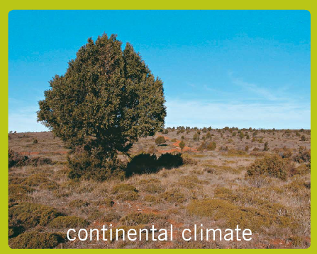 SGAguilar Javier Ramos: The environment: CLIMATE.