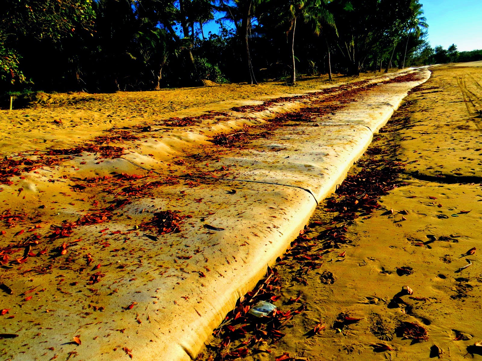 Regular Updates on our News: SAND RETENTION MIDGE POINT BEACH