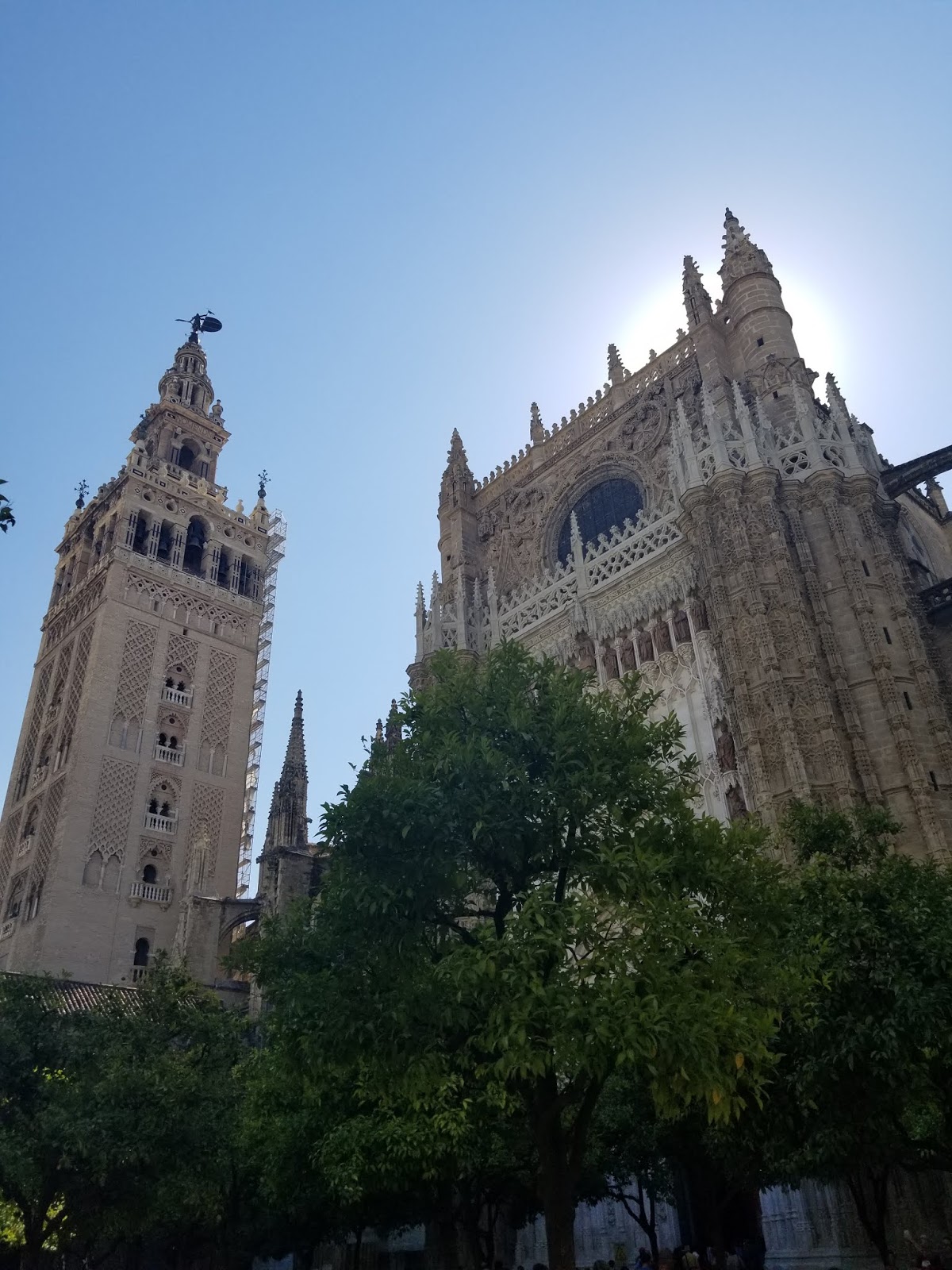 The World's Largest Gothic Cathedral