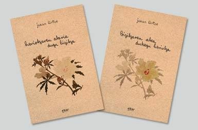 Menditik kostara: Bizitzaren atea dukegu heriotza: Joxan Artze