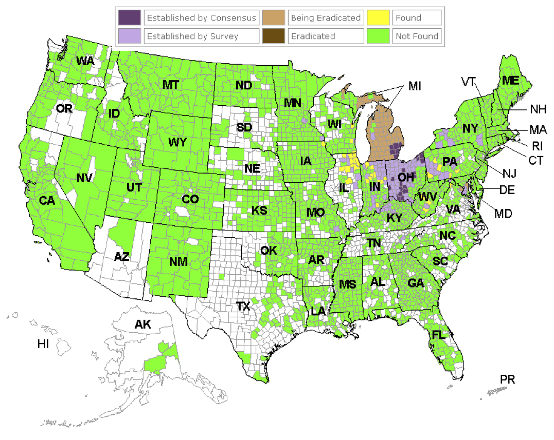 FAU Libraries @Jupiter Science Blog: March 2013