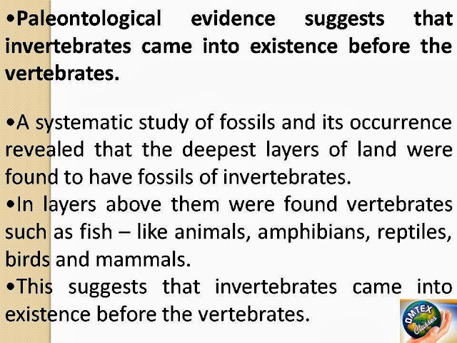OMTEX CLASSES: Paleontological evidence suggest that invertebrates came ...