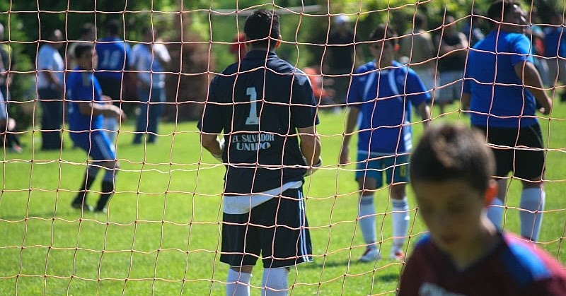 Mishy's Corner of the World: Pine Point Park (in 'The Elms ...