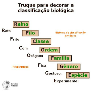 Classificação dos Seres Vivos