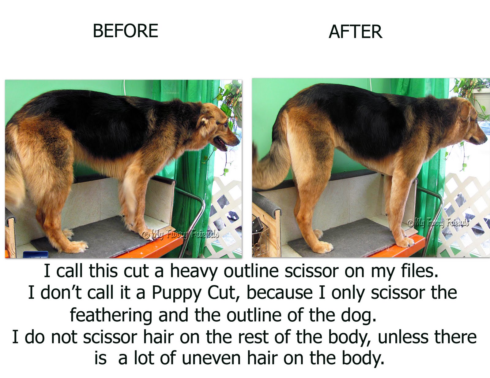 Pet Grooming: The Good, The Bad, & The Furry: Grooming a Shepard Mix