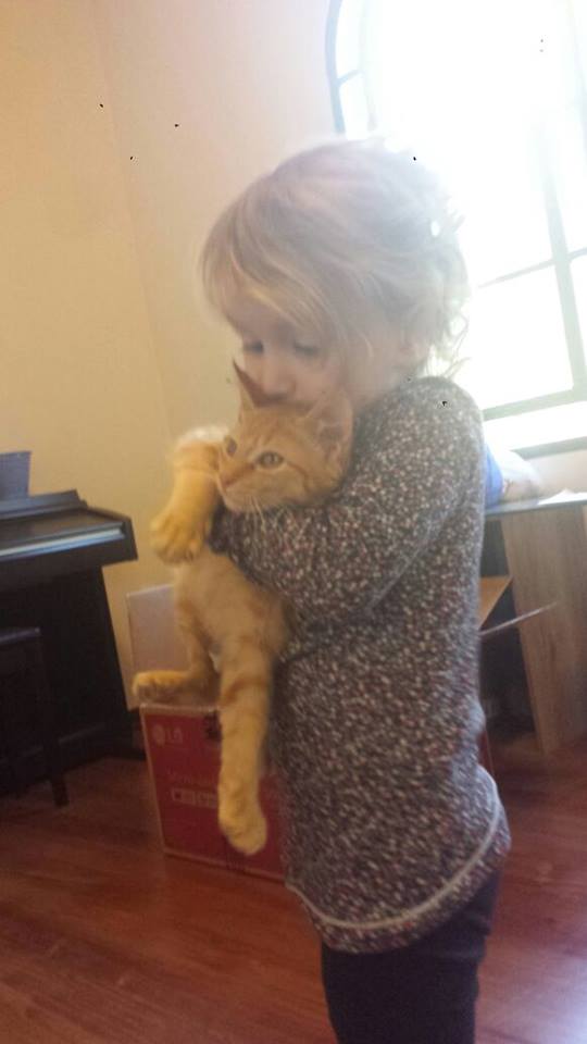 Morada Interior: Gatos, crianças e despedidas. Sobre sempre falar a verdade