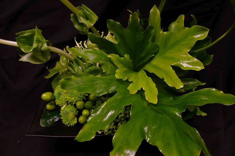 florissimo: foliage design