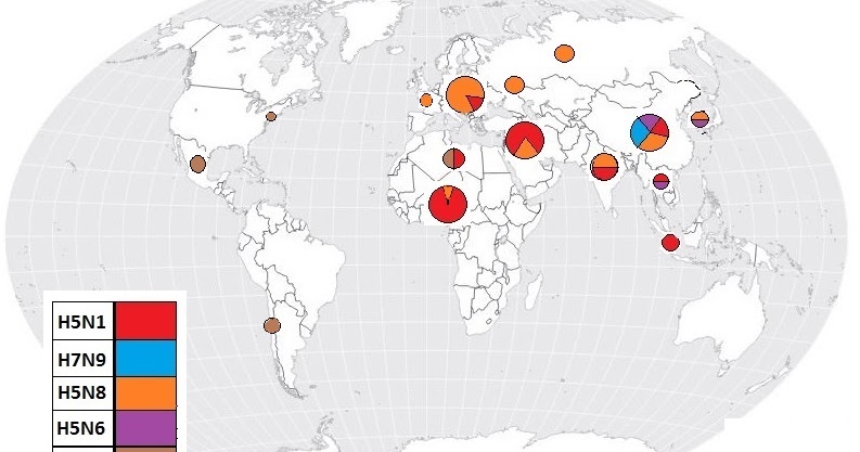 Avian Flu Diary: The Fog Of Bird Flu
