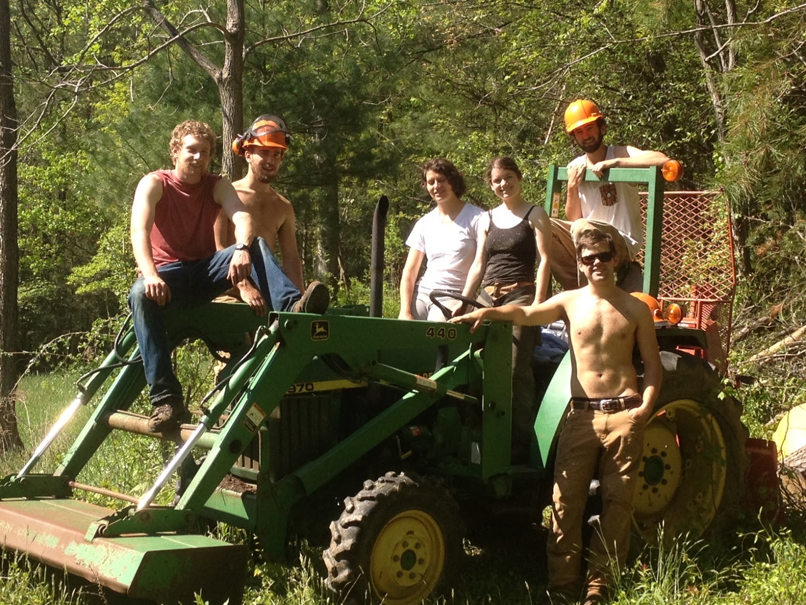 Warren Wilson College Forestry Program: Jones Mountain Crown Thinning ...