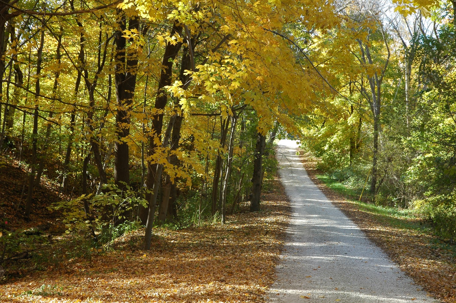 Somers Wisconsin Pioneer History: Beautiful Wisconsin