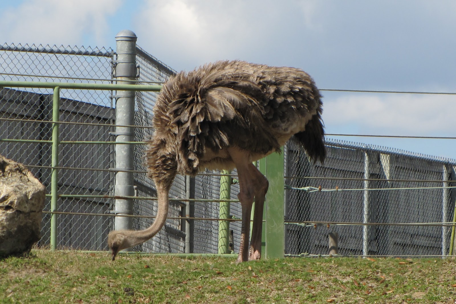 To Behold the Beauty: 1/1/13 - 2/1/13