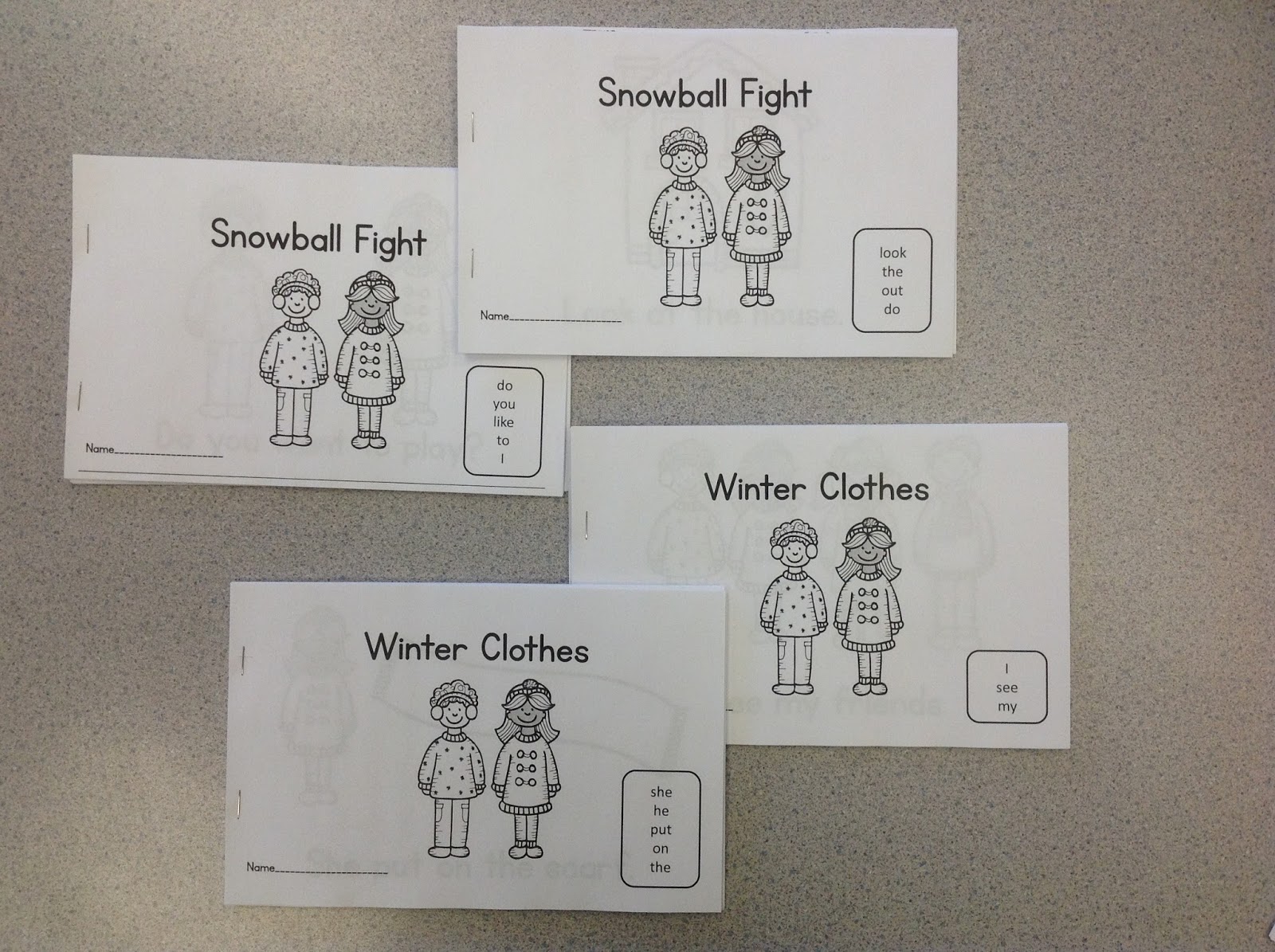 Grade One Snapshots: Winter Emergent Reader