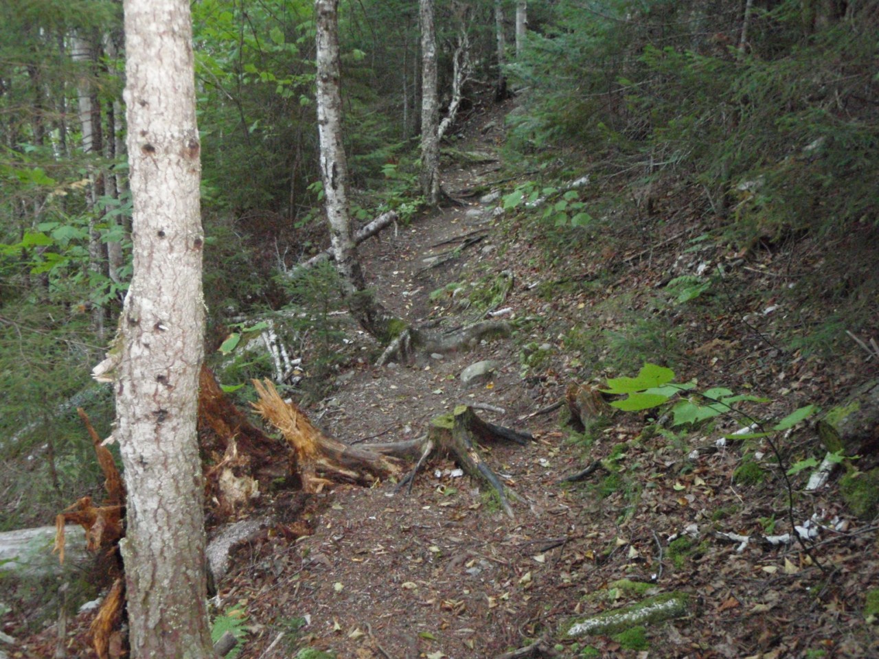 Matt's Hikes: More Baxter State Park - North Brother and Fort - August ...