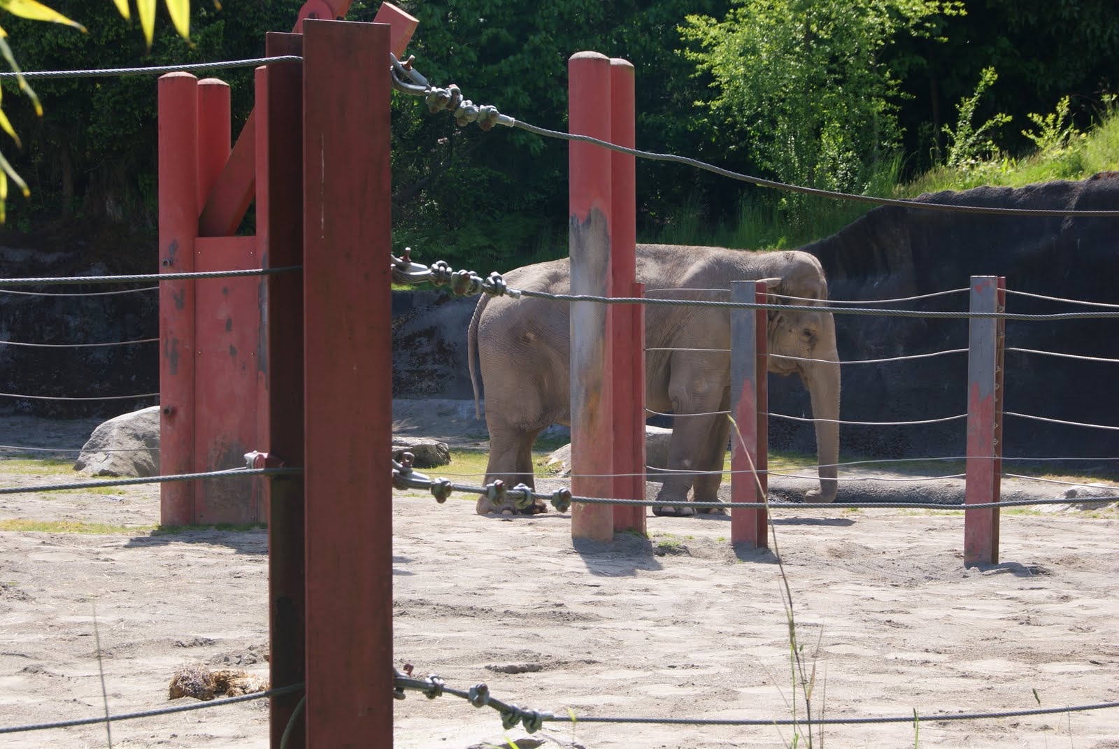 My Friendship with Food: Point Defiance Zoo & Cake That Reminds Us of ...