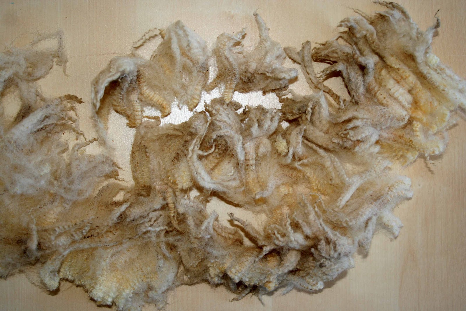 Creating and Educating: Dying Sheep Wool