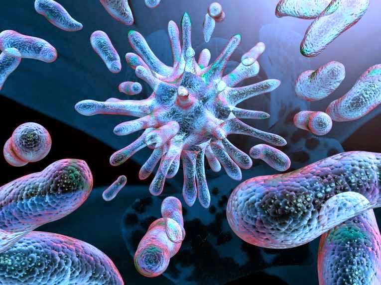 Microbiología: Dominio Bacteria