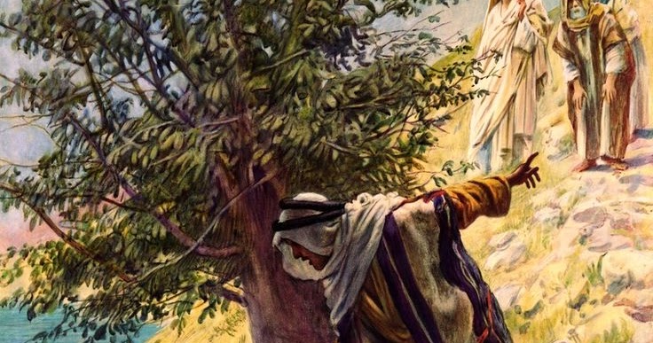 What's This All About Vicar?: Sunday Sermon: John 1.43-51. Jesus meets ...