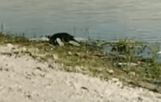 Criminal Misconduct: Bobby Kent: Murder Between Friends