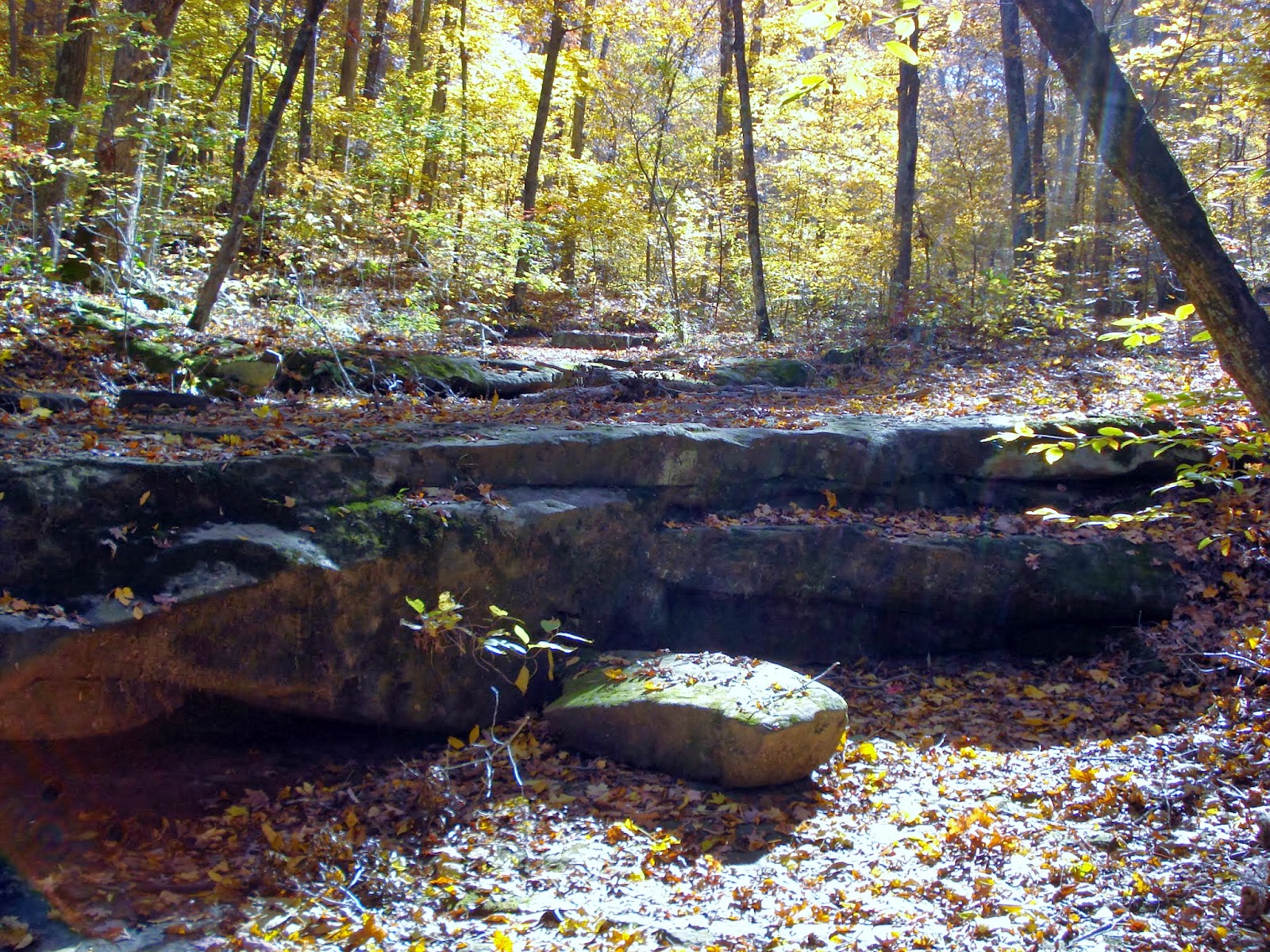 Experiencing Illinois: Rocky Bluff Trail
