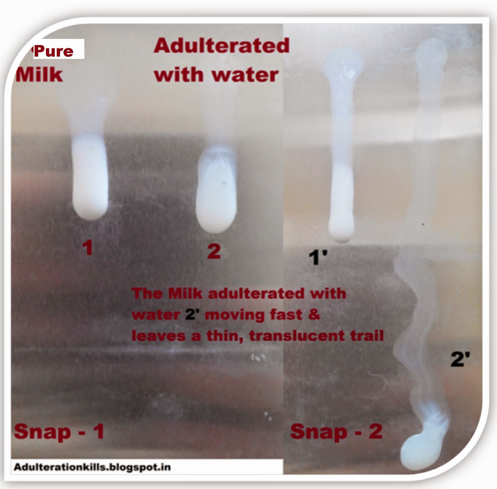 ADULTERATION मिलावट -: Adulteration in Milk & Milk Products, Check ...