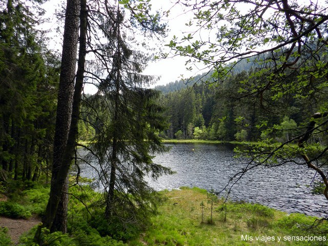 La Selva Negra, paraíso de lagos y cascadas - Mis viajes y sensaciones