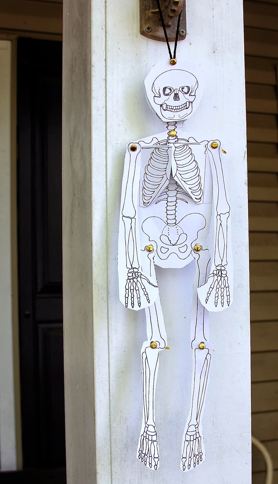 The Fantastic Five: Dem Bones, Dem Bones (Skeletal System Activities)