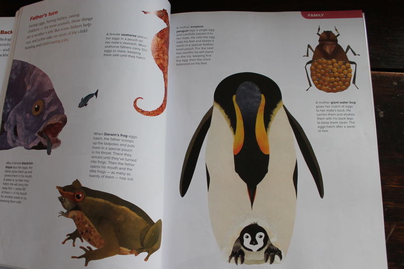 Books and Umbrellas: The Animal Book by Steve Jenkins