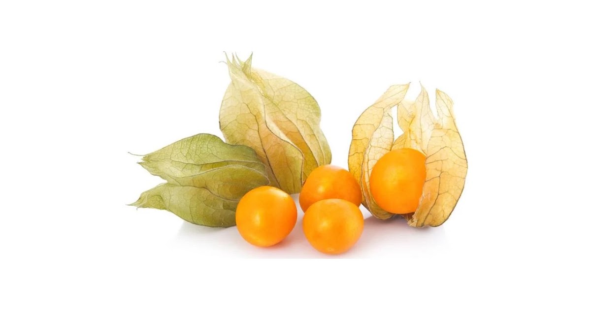 UCHUVA PIXALIS: LA UCHUVA