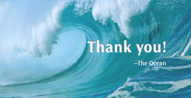 Shellbelle's Tiki Hut: Thank you from the ocean to the shore — we did it!
